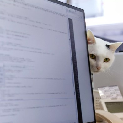 9 mace në zyrë, më pak stres në punë: ideja japoneze që po bën xhiron e ...